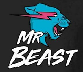 Greenville’s MrBeast Appeared in Super Bowl commercial - MrBeast Burger ...