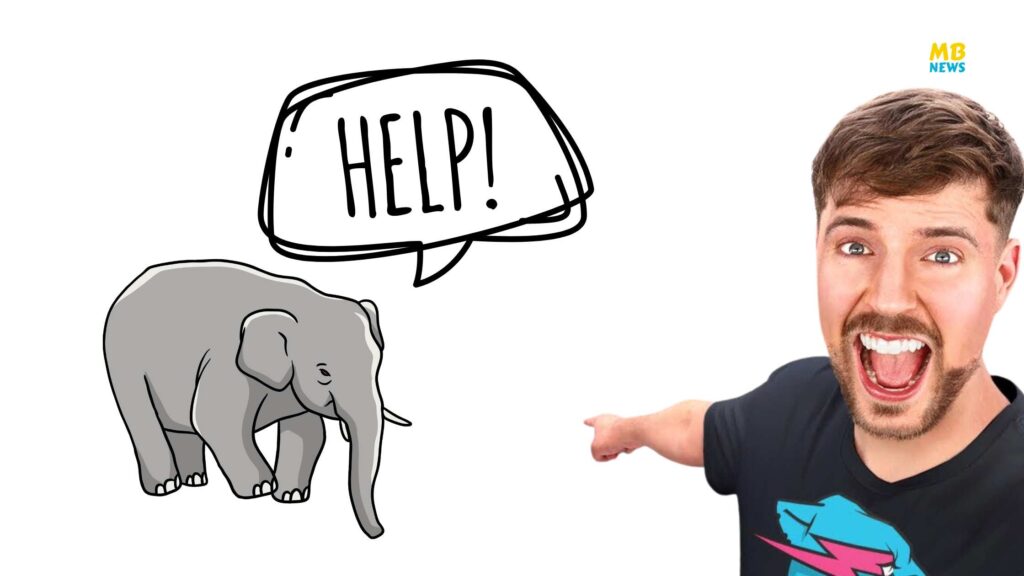 MrBeast Helps Injured Elephant Walk Again With New Leg For Bright Future!
